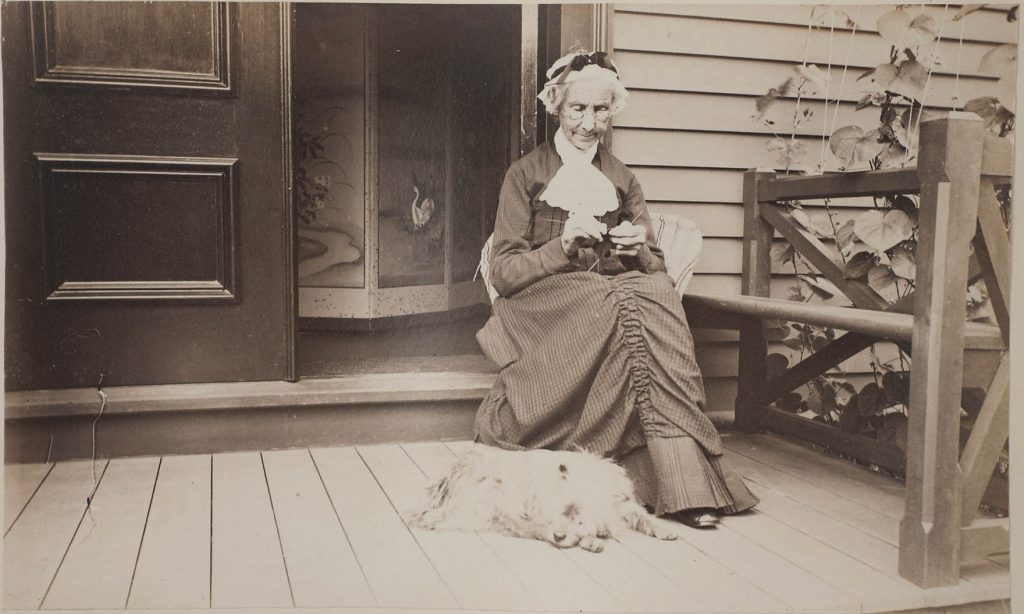 Marian “Clover” Hooper Adams, Dog Portraitist? | Beehive