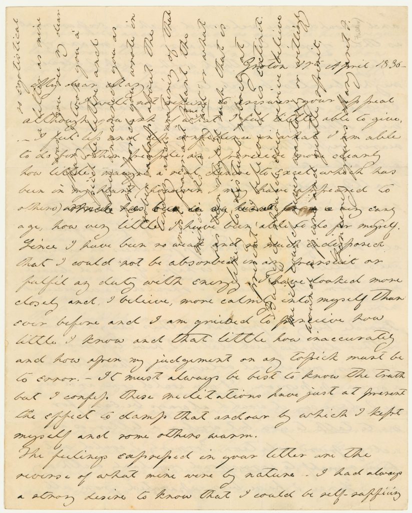 From Our Collections | Beehive