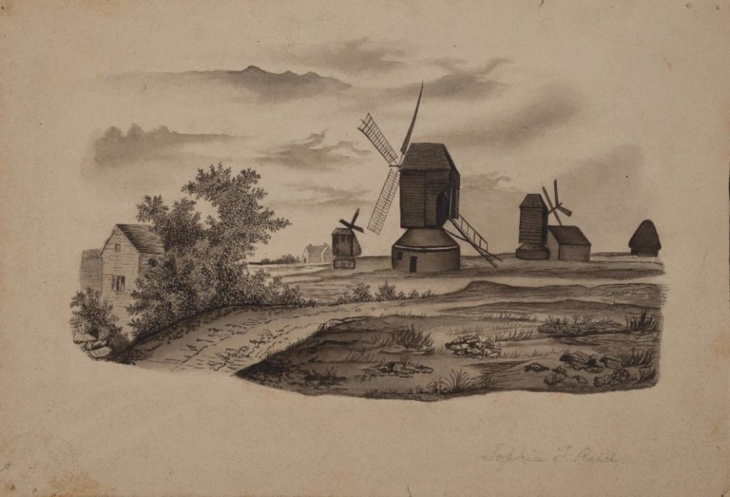 Drawings and Sketches by Sophia Francis Reed | Beehive