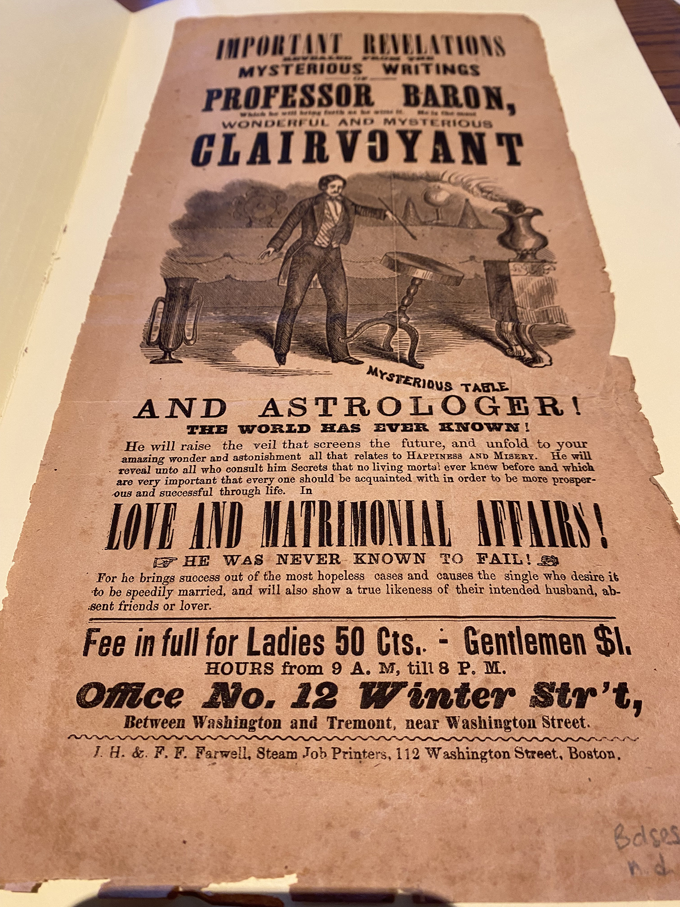 The 19th-Century Creation of Spectacle: Part I | Beehive