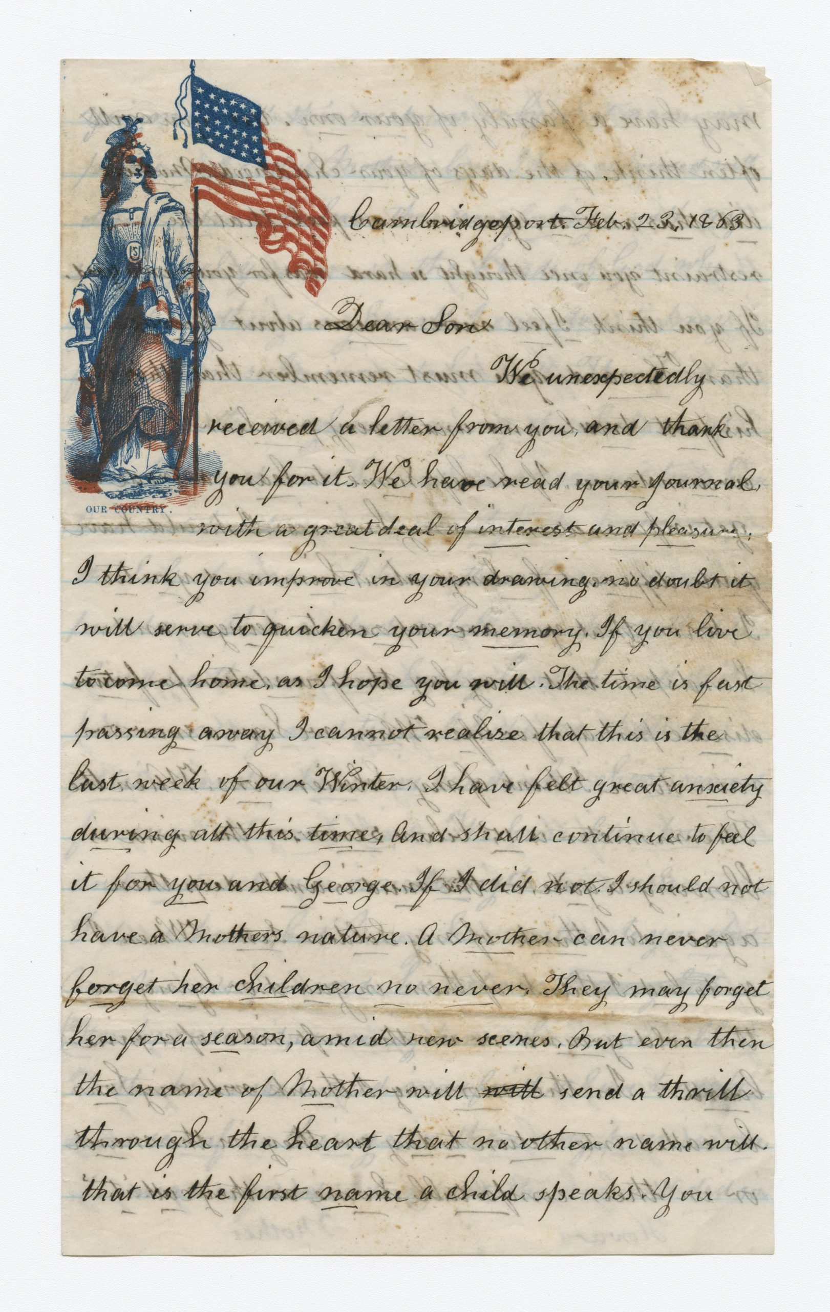 From Our Collections | Beehive