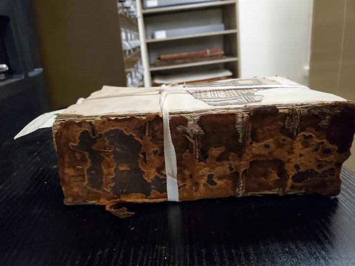 What haunts the librarians of the MHS? | Beehive