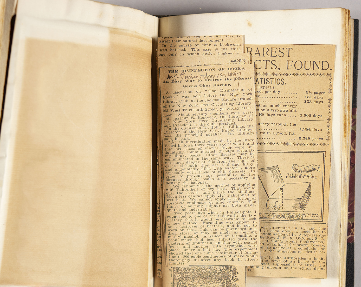 Archives Revealed: Conservation at the MHS | Beehive